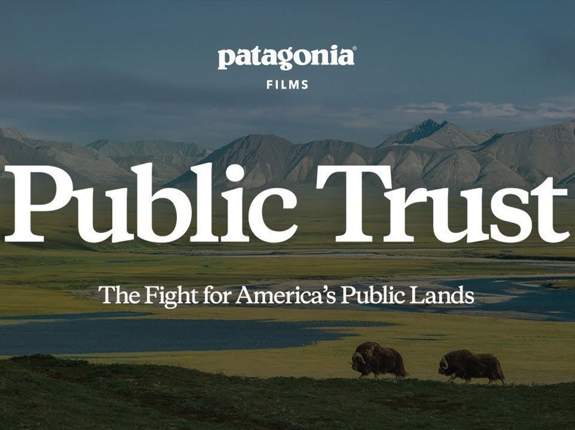 Watch Patagonia Film, Public Trust | nativve