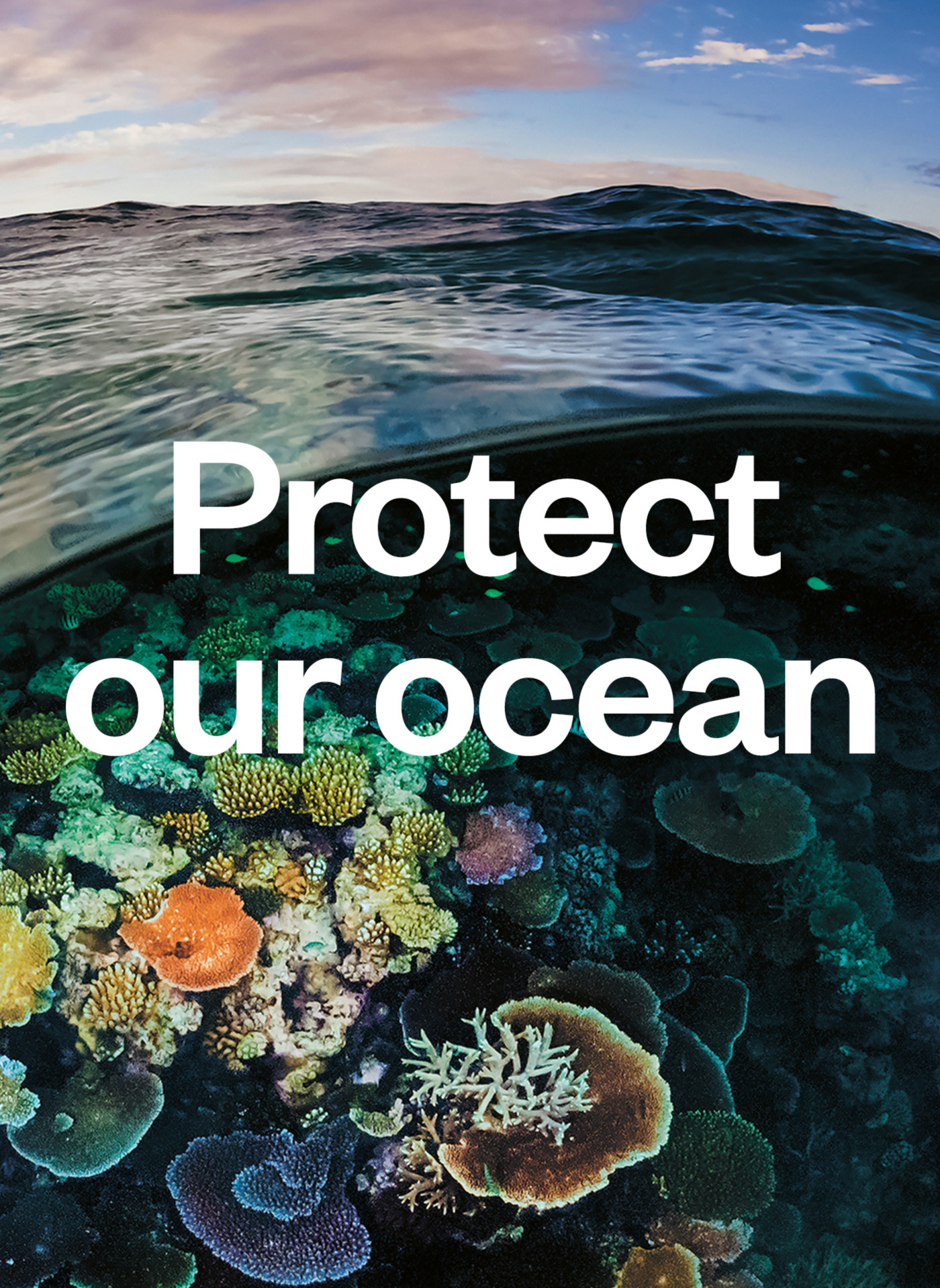 Patagonia's Campaign Against Bottom Trawling | nativve